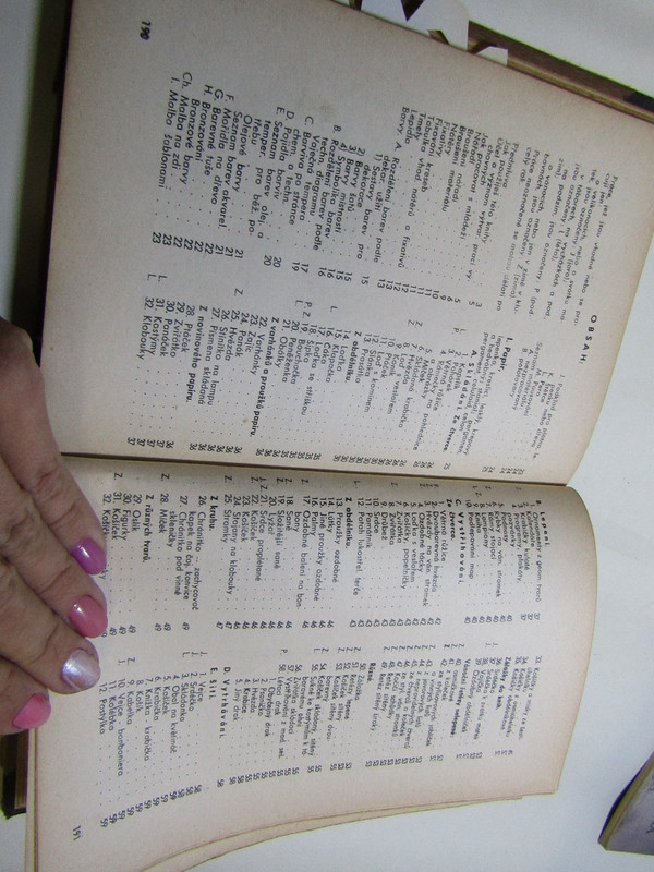 IMG 9302 — Postimages