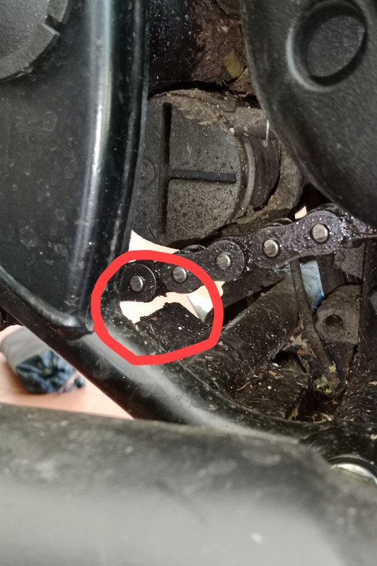 IMG 20230805 130620 — Postimages