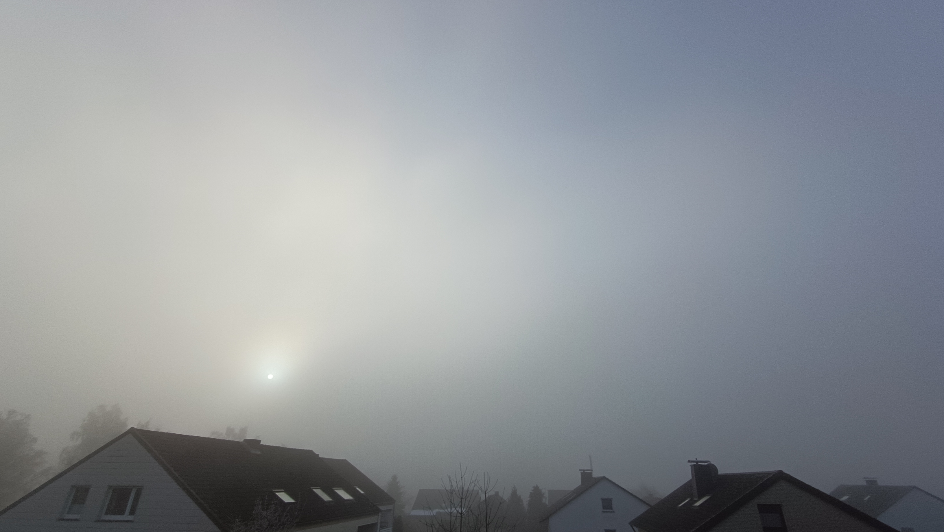 IMG 20250118 101006 — Postimages