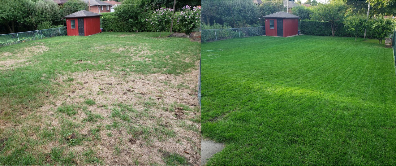 before after — Postimages