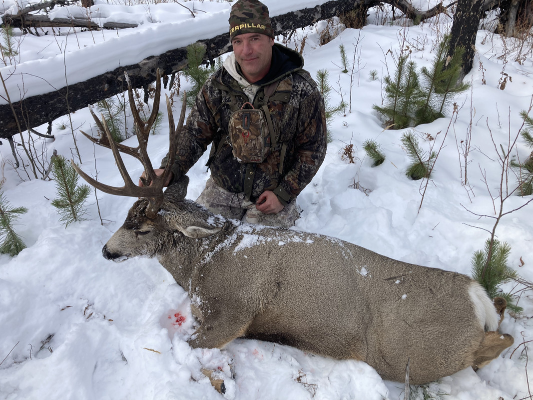 3 A6 E1 C44 E42 A 4 C33 BE6 E A931445 B11 FF — Postimages