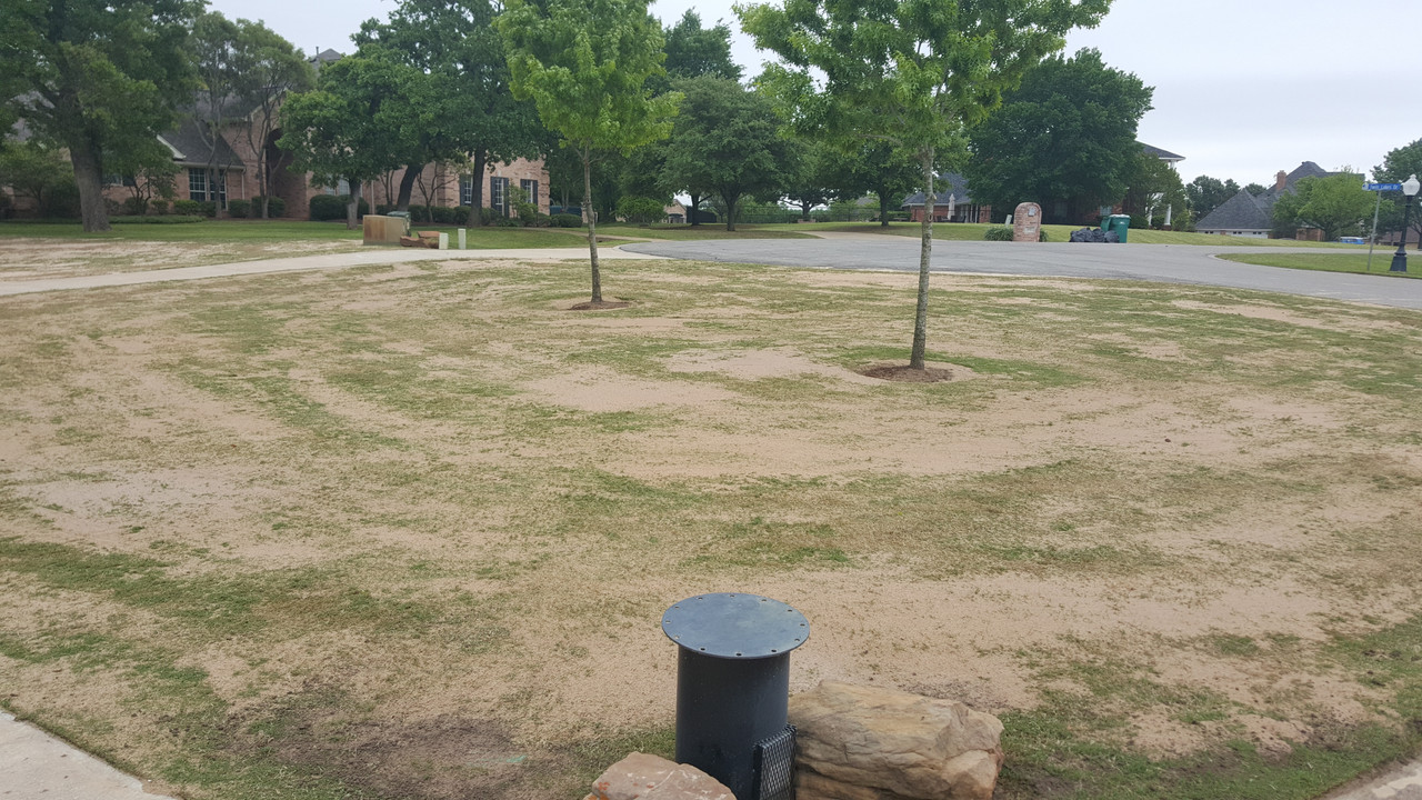 2020 Front Yard — Postimages