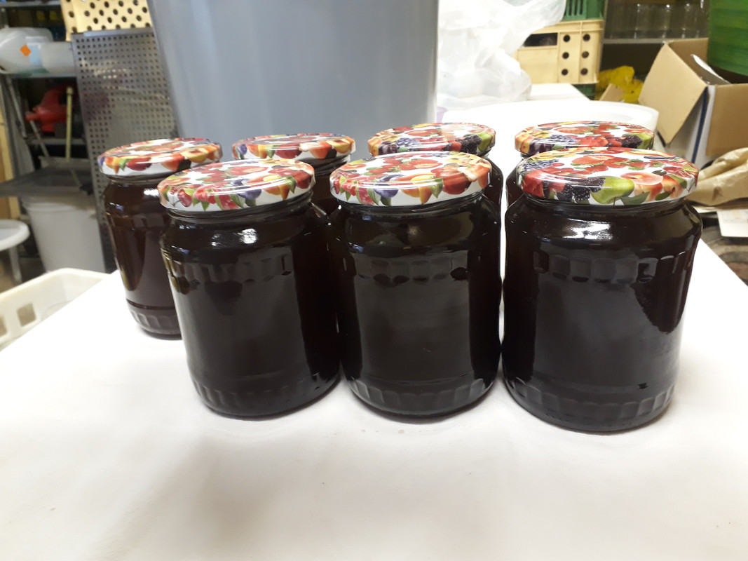 20230708 194556 — Postimages