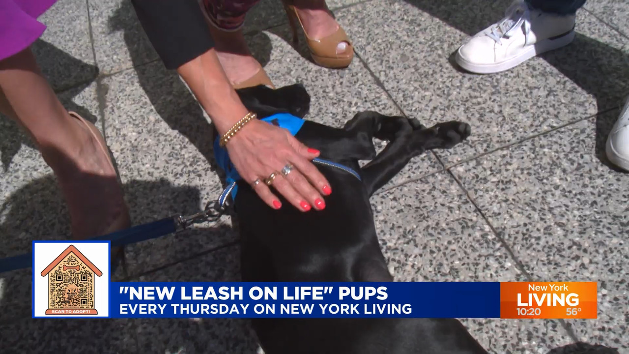 05 25 15 00 00 New York Living ᴺᵉʷ ts snapshot 00 21 48 527 — Postimages