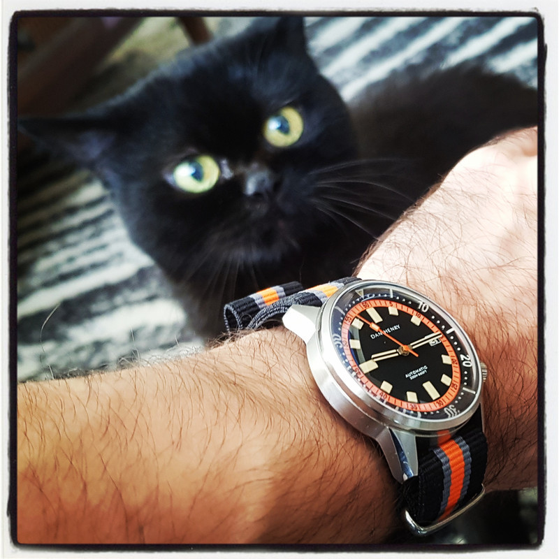 IMG 20171027 055237 624 — Postimages