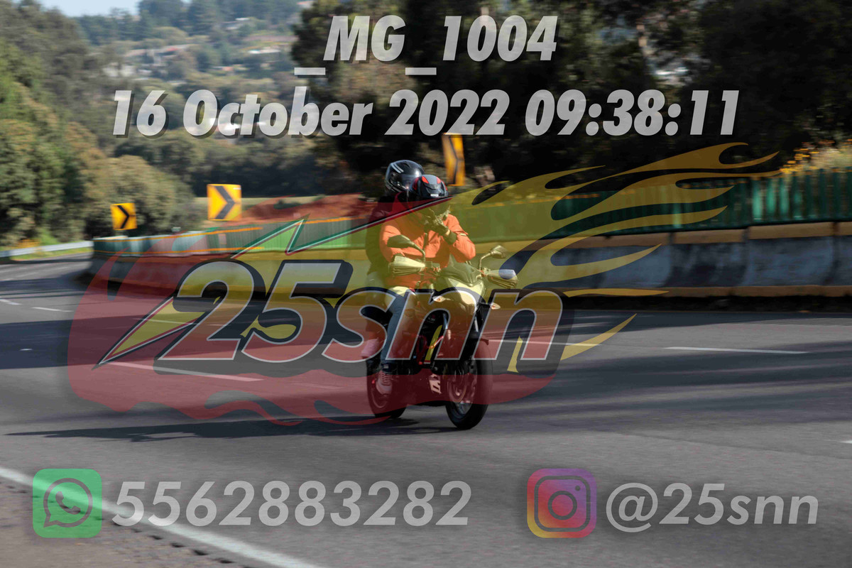 MG 1004 — Postimages