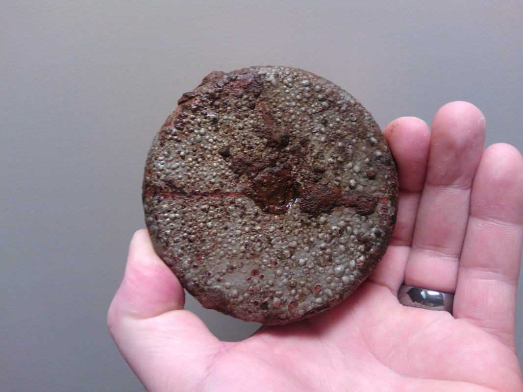 WP 001054 — Postimages