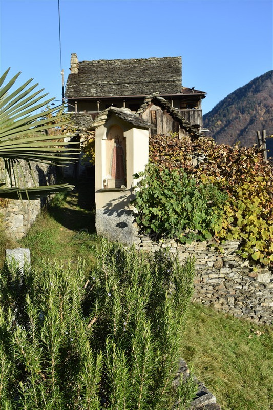 cf DSC 2148 — Postimages