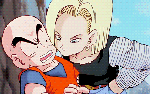 Krillin--x--18 | DeviantArt