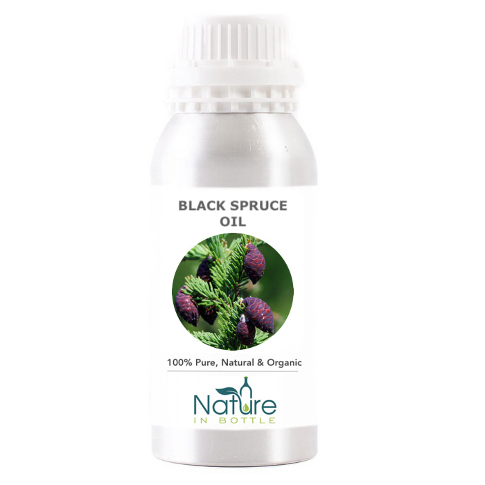 Black Spruce Essential Oil Organic - Picea Mariana Canada