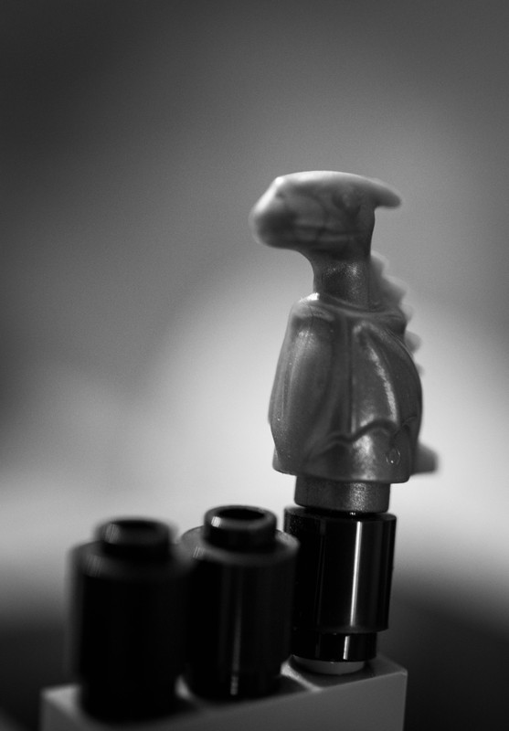 DSC 0055 2 — Postimages