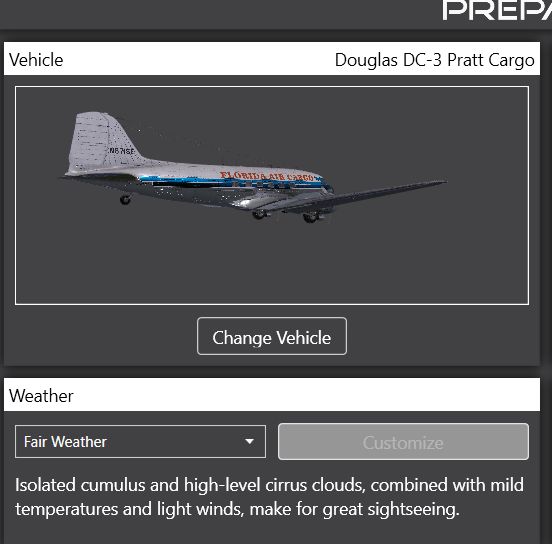 Sparkly Aircraft Textures, P3D v5.3 HF1 - Prepar3D Forums