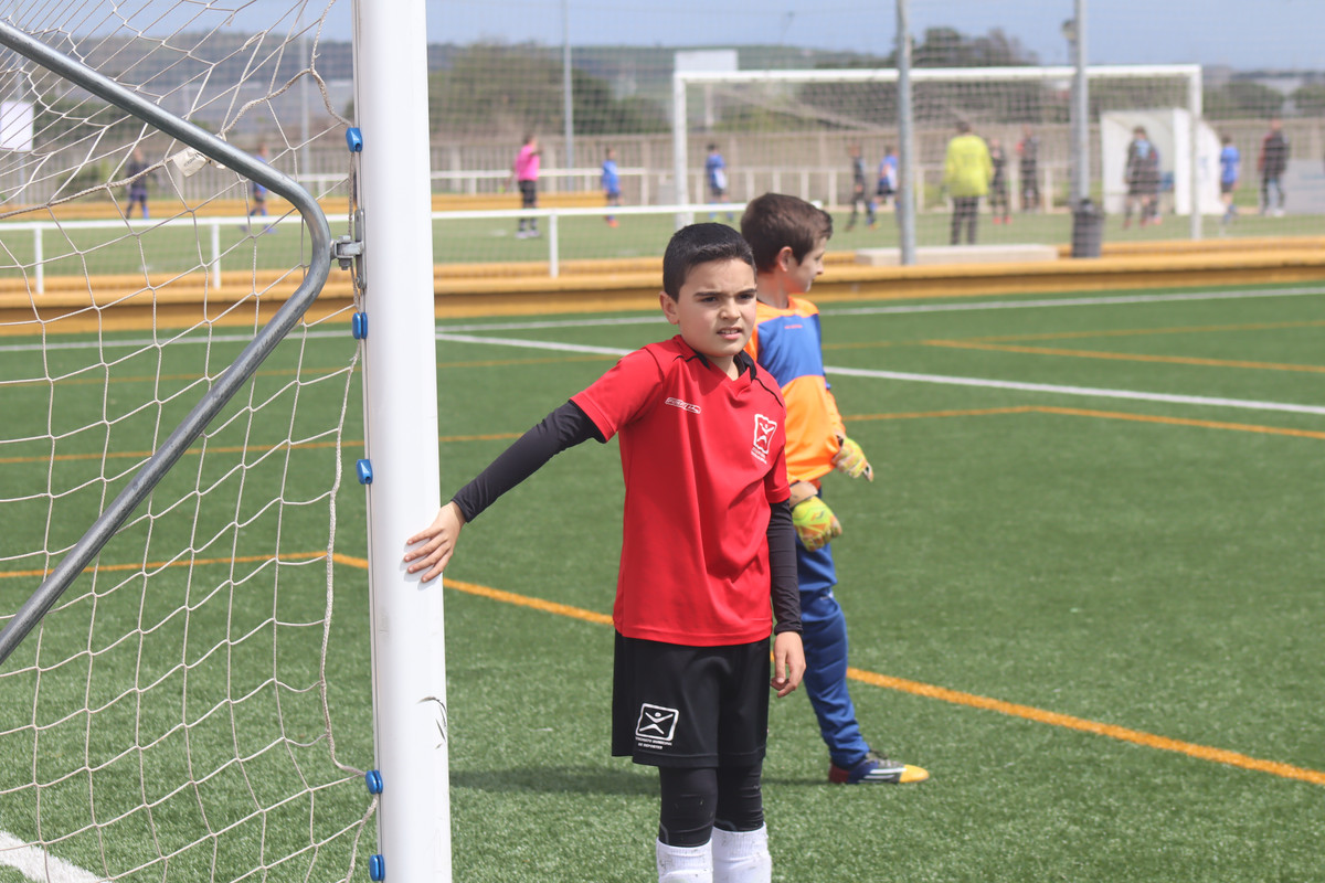 IMG 3398 — Postimages