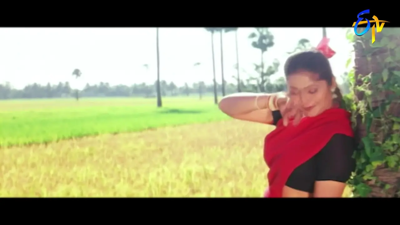 JVp8DoG — Postimages