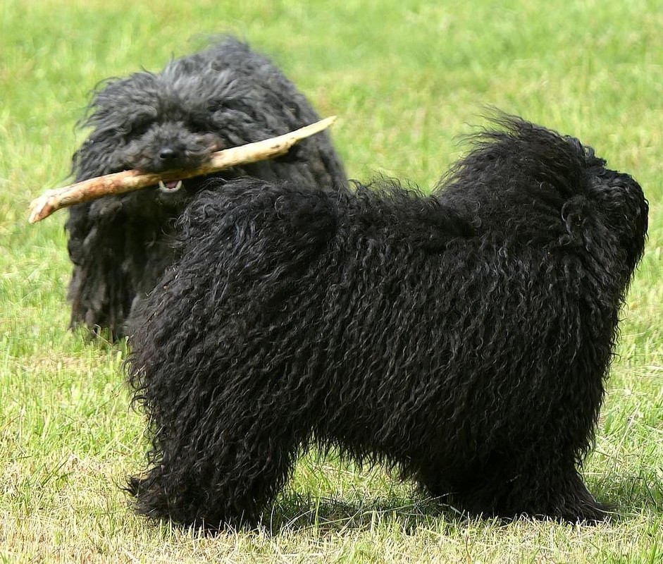 IMG 5365 — Postimages