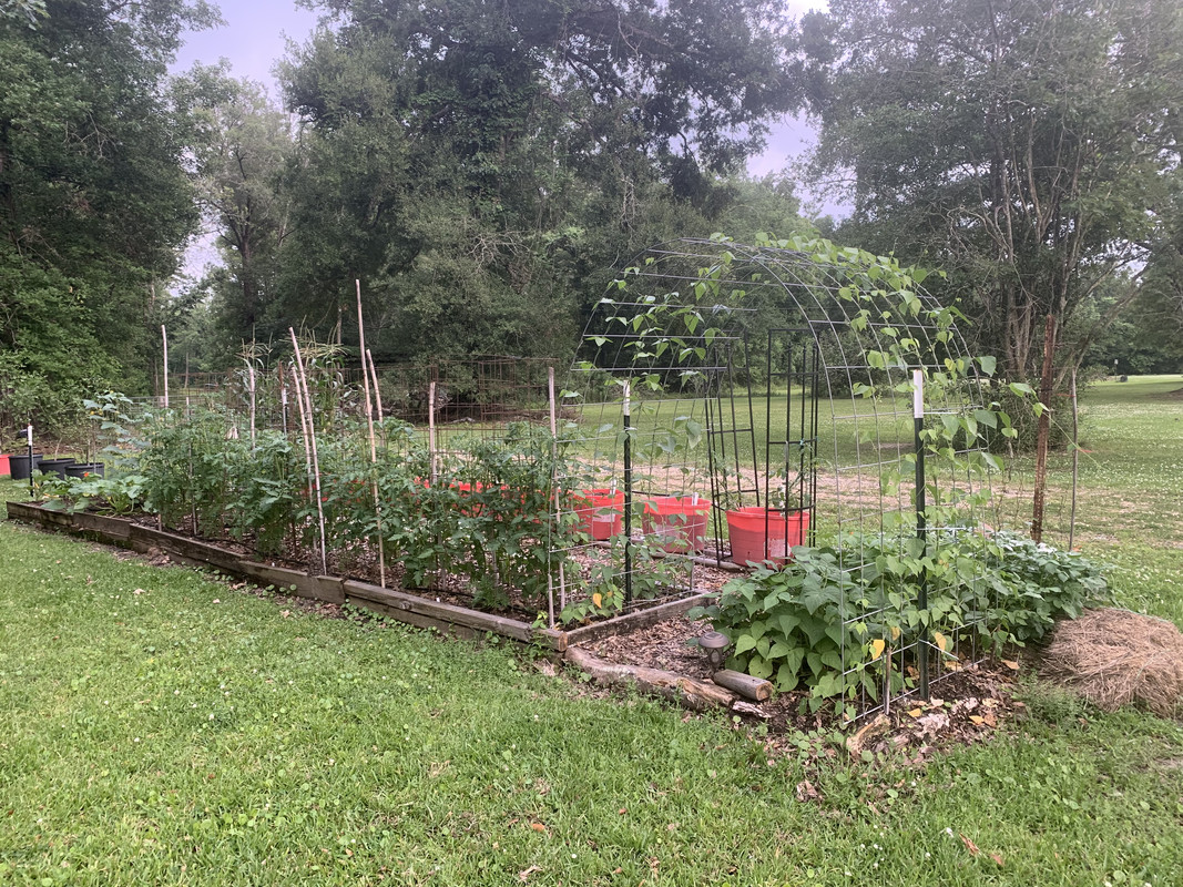 IMG 1190 — Postimages