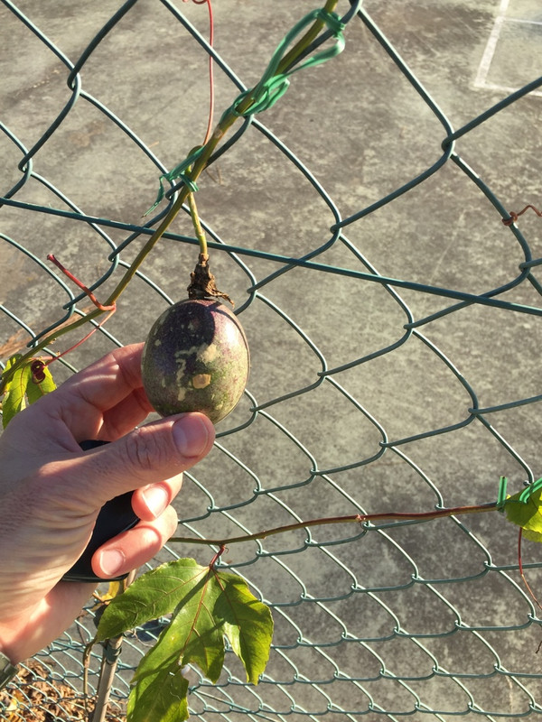 IMG 3583 — Postimages