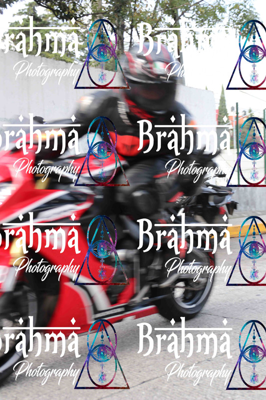 IMG 3328 — Postimages