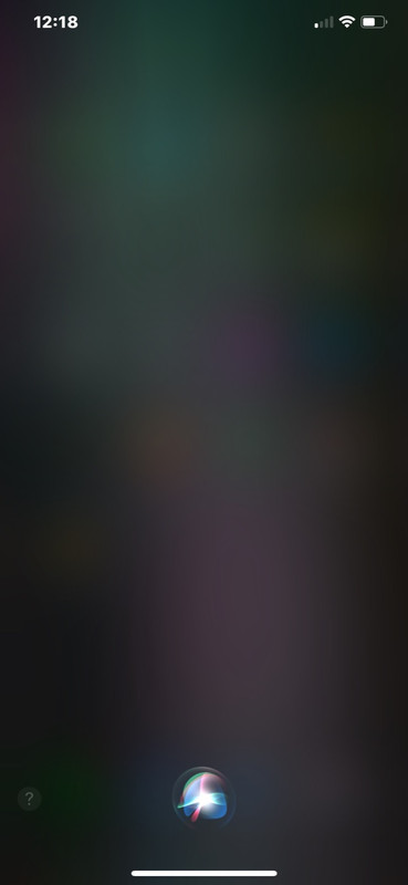 Siri not displaying results : r/Siri