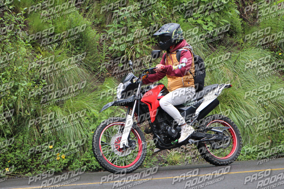 IMG 3679 wm 378674 19999999925 watermarked — Postimages