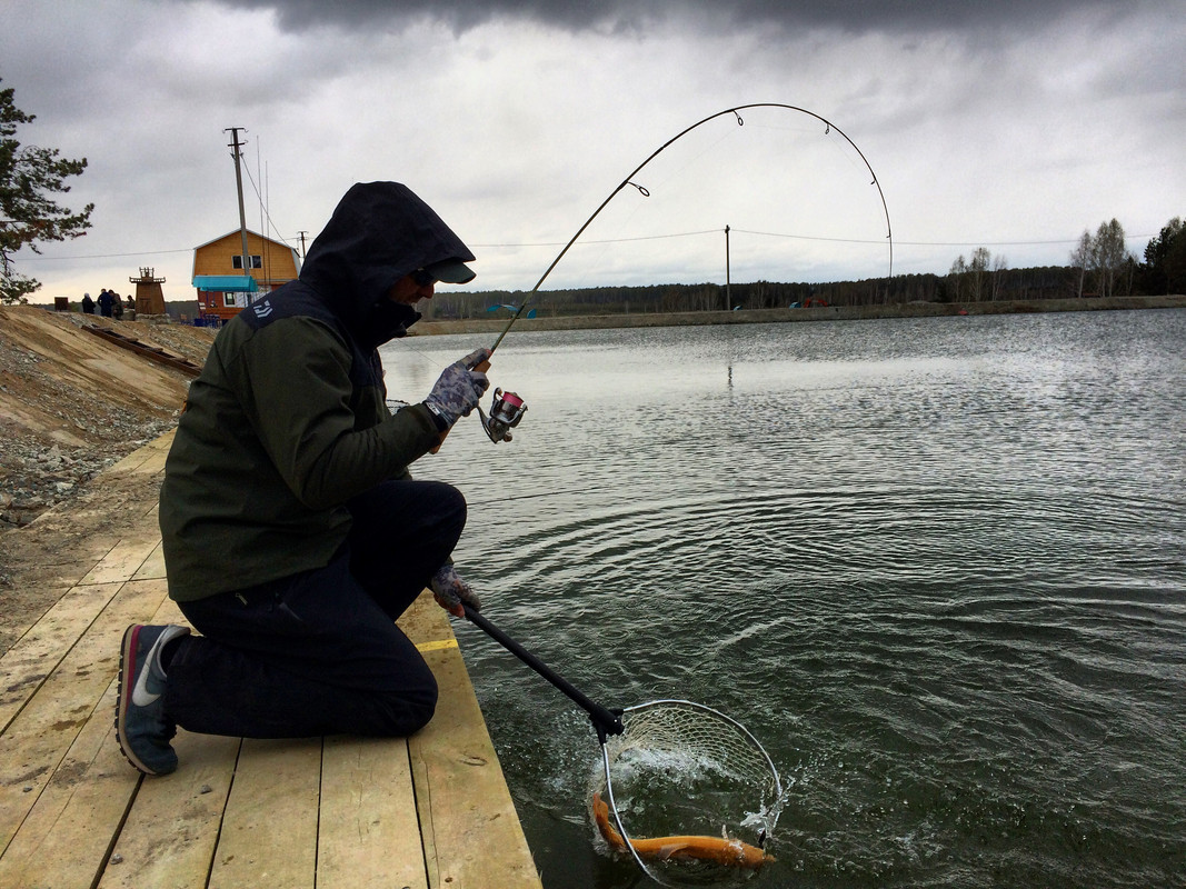 IMG 4945 — Postimages