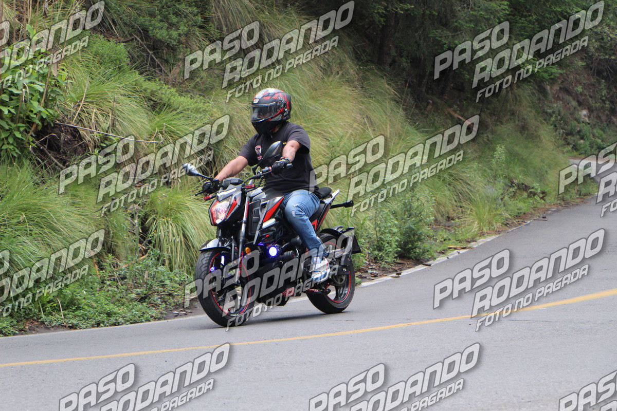 IMG 8150 wm 294777 7000000002 watermarked — Postimages