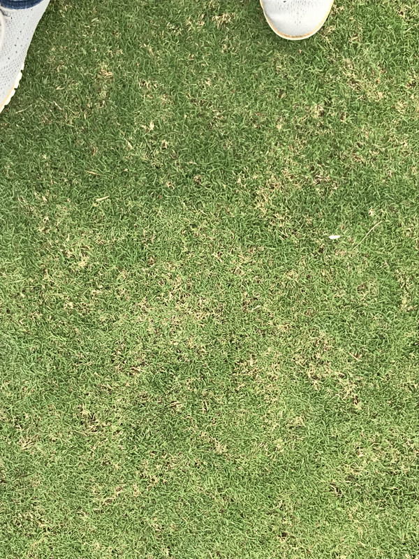 Fcf1 F785 2 Ed6 4761 8 Cd5 E4 A1 A8857 C2 D Postimages