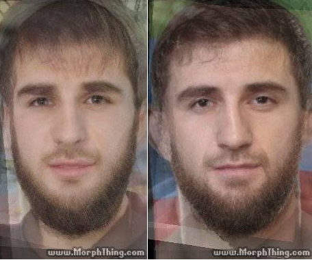 classify average chechen phenotype