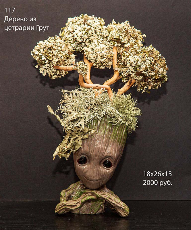 IMG 6708 — Postimages