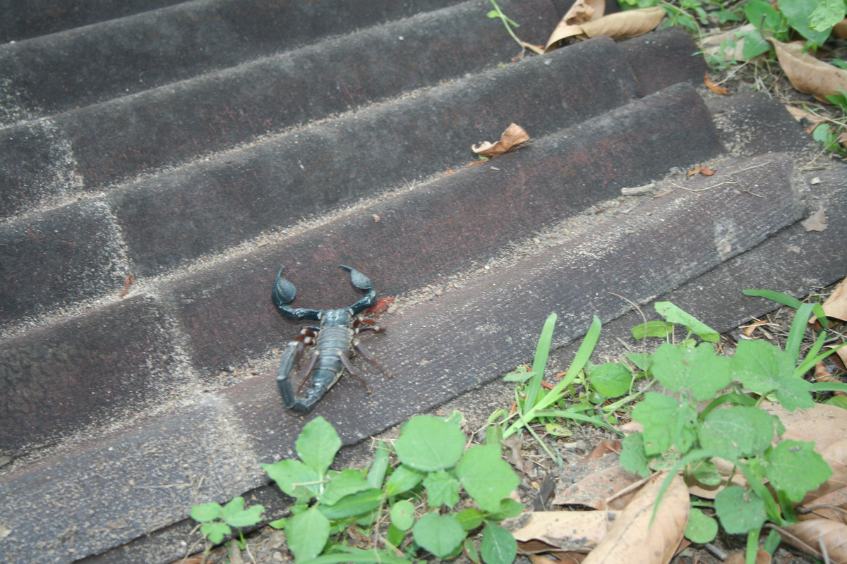 IMG 8307 — Postimages