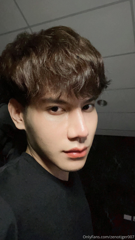 zenotiger (33) — Postimages