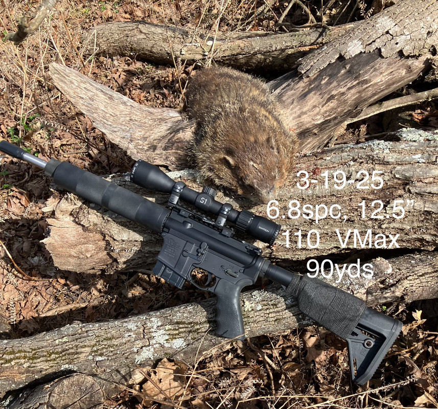 IMG 0228 — Postimages