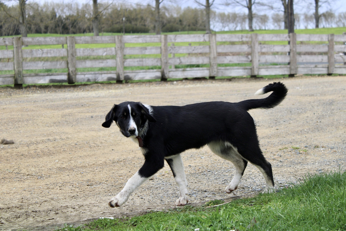 64 E7 BAF7 0344 4259 9 A36 A8417 E9 E9693 — Postimages