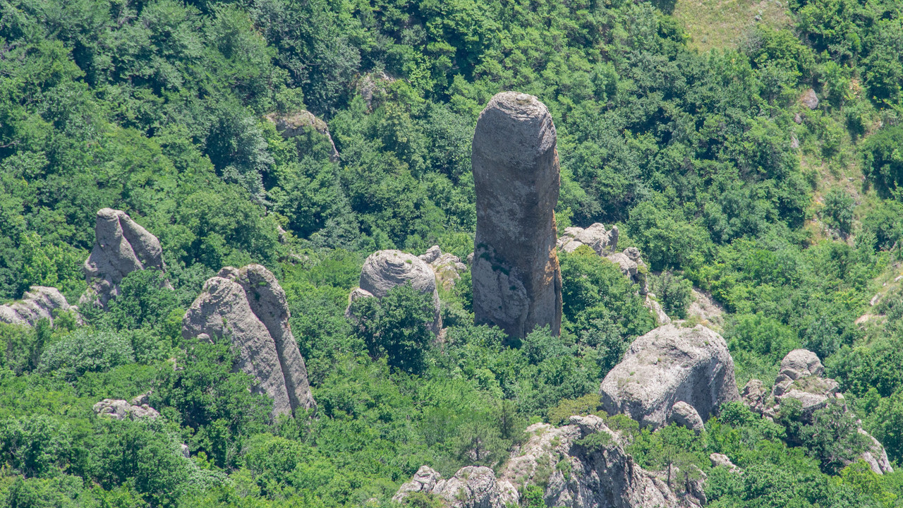 DSC 3768 — Postimages