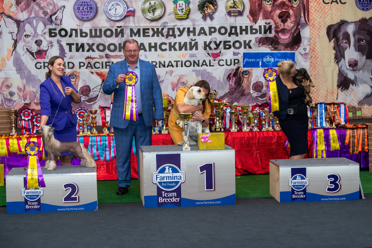 30 1304 — Postimages