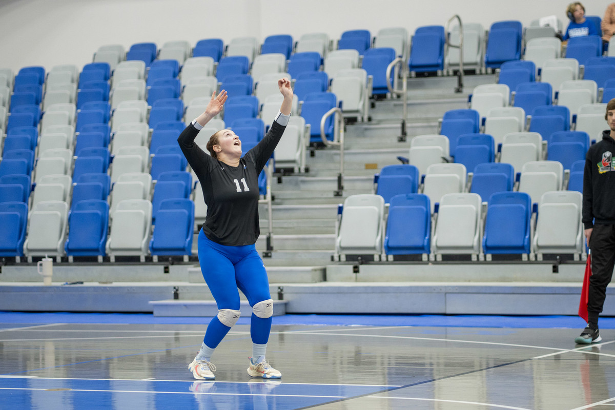 BV 177 INDOORS VOLLEY in LEGINS — Postimages