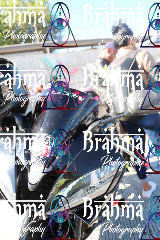 IMG 1232 — Postimages