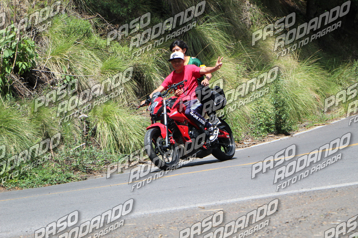 IMG 7334 wm 103786 5 watermarked — Postimages