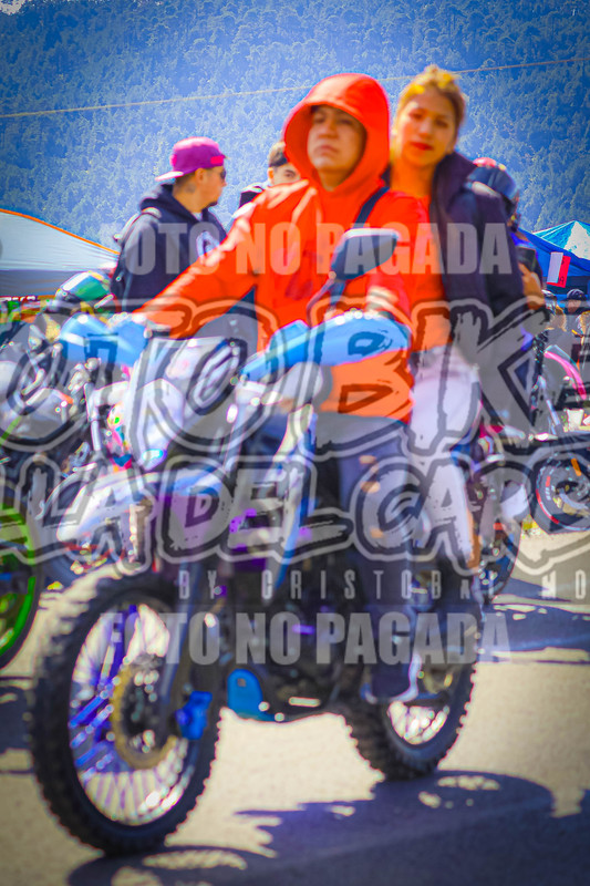 Album — Postimages