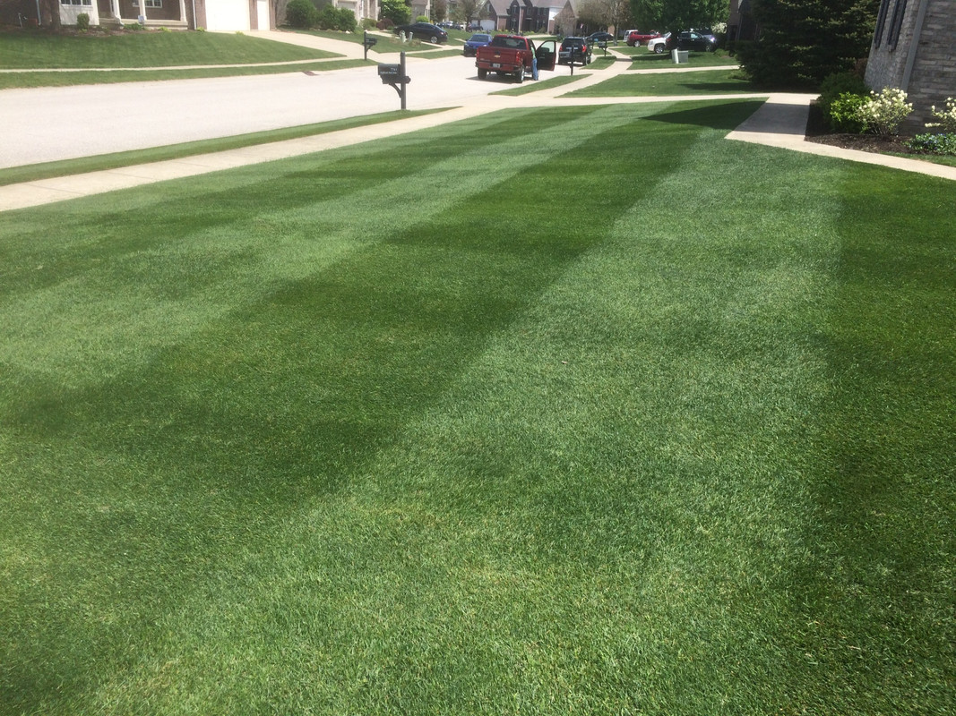 6 E25 E567 CCCC 4 D37 8 B27 2645 F8 F9387 D — Postimages