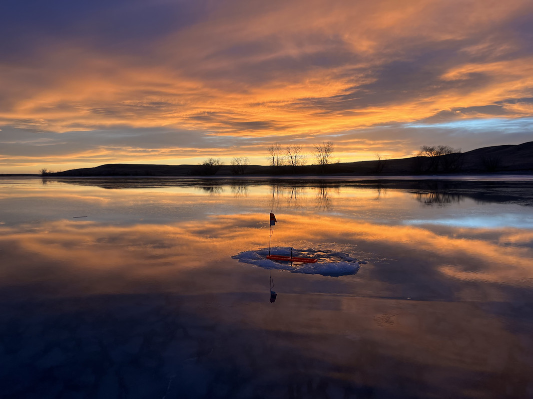 IMG 1852 — Postimages