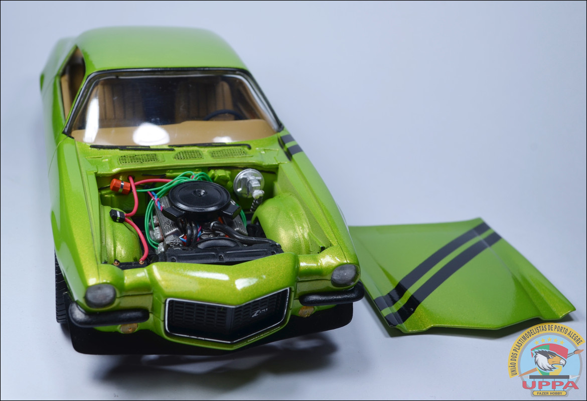 DSC 0206 — Postimages