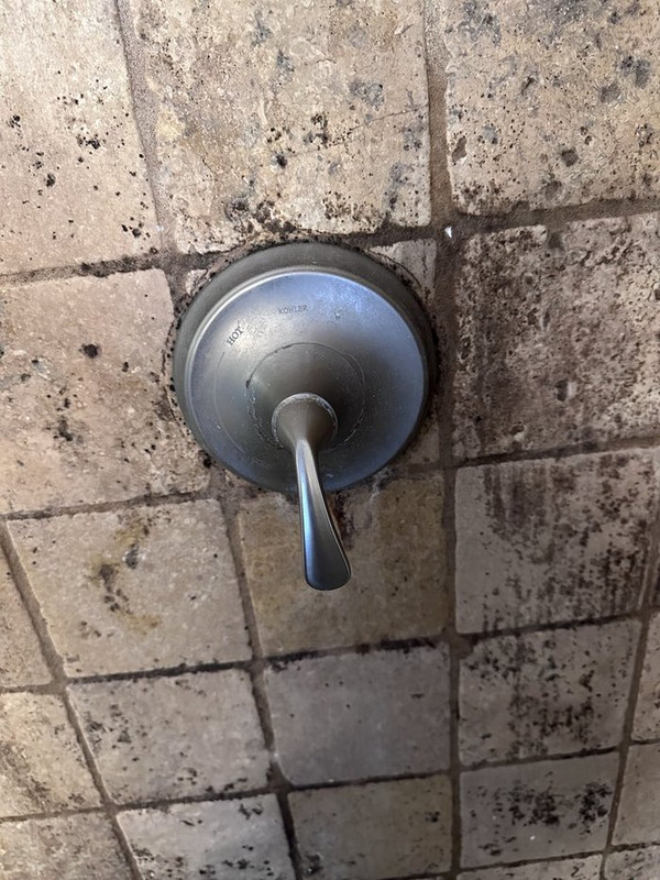 Shower no longer have hot water - need advise on repair - Bogleheads.org