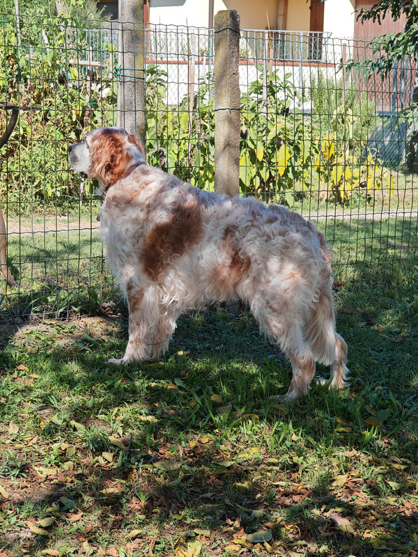 IMG 20230923 111158 i 0 — Postimages