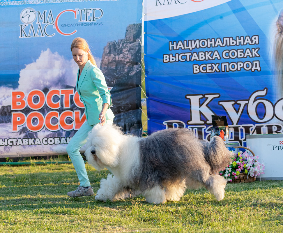 3756 Postimages 3756-postimages