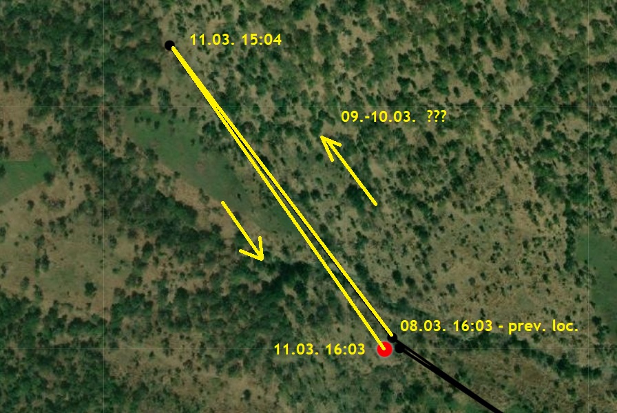 Black Stork Tracks - Page 600 - Looduskalender