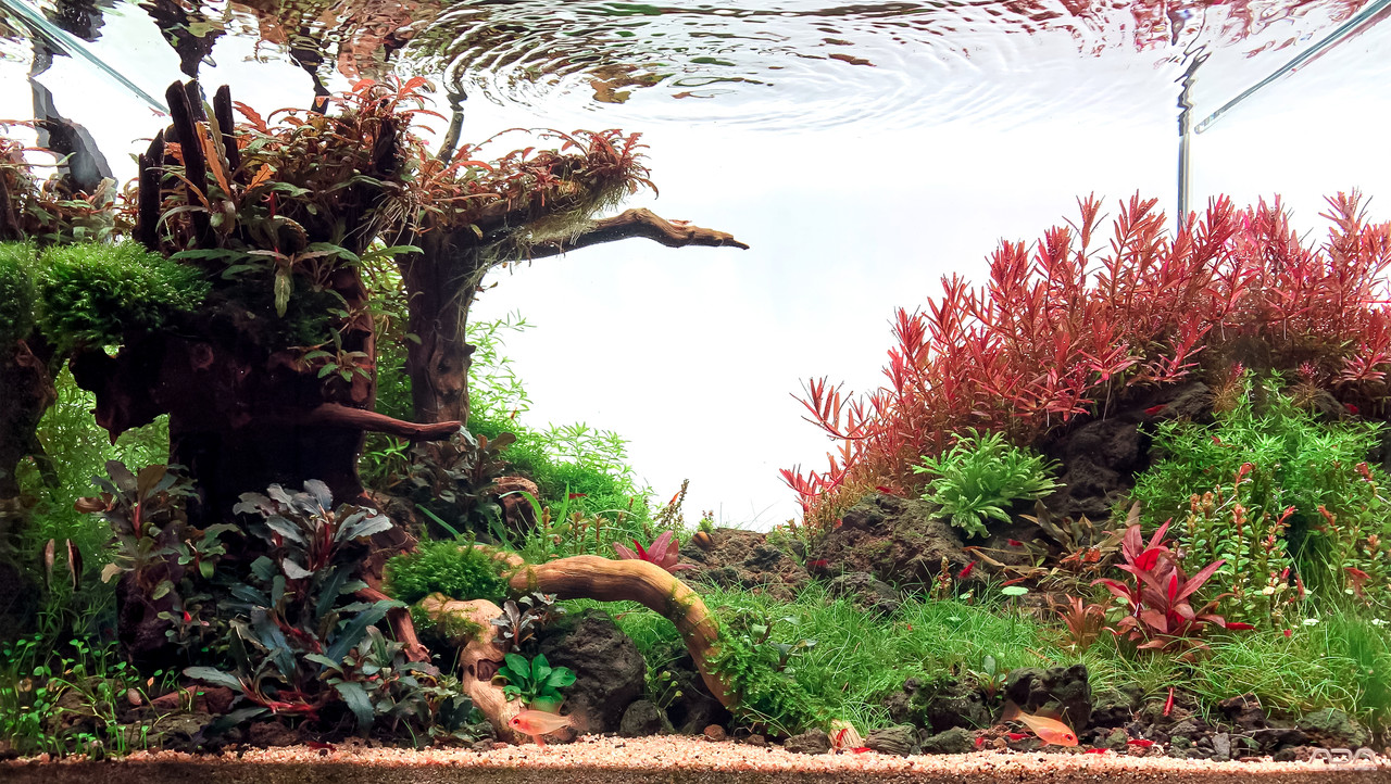 Medium — Postimages