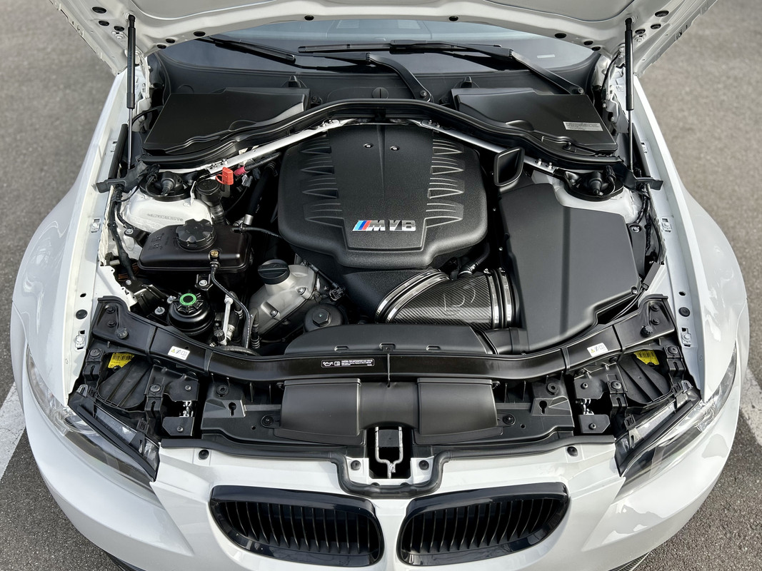 IMG 3318 — Postimages