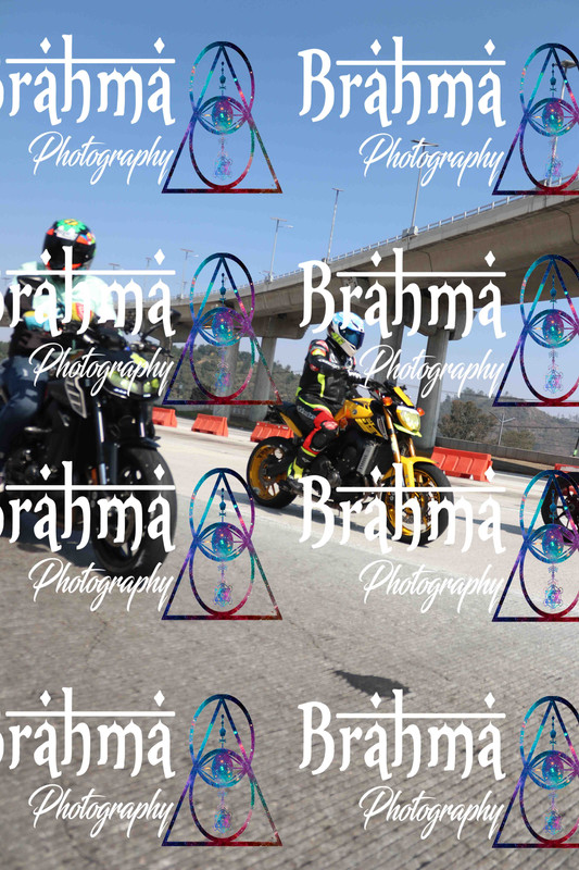 IMG 9024 — Postimages