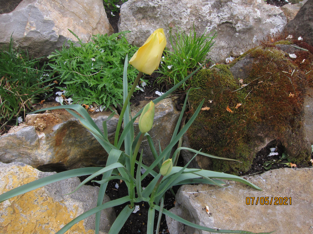 IMG 3075 — Postimages